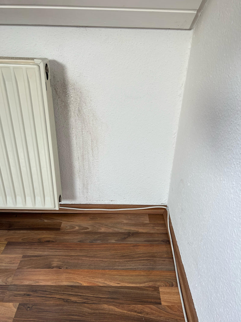 M Use In Der Wand So Werden Sie Die Nager Los Das Haus